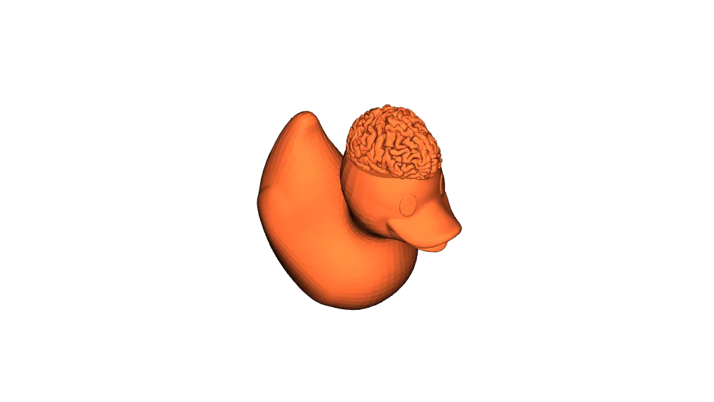 Brain duck by NilsMakesStuff | Download free STL model | Printables.com