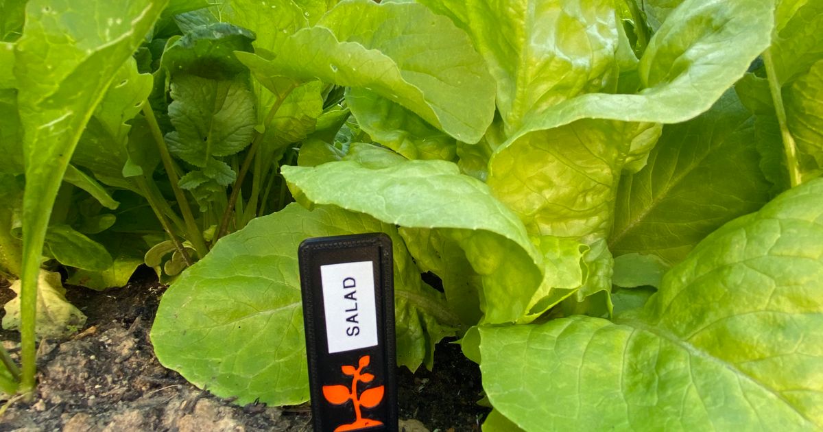 Simple plant label spike by KMS by KERLE MAKERSPACE | Download free STL ...