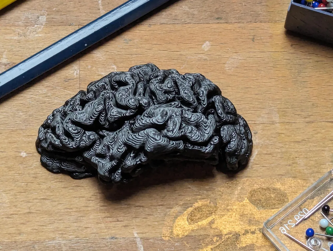 Brain in Parts by wetWool | Download free STL model | Printables.com