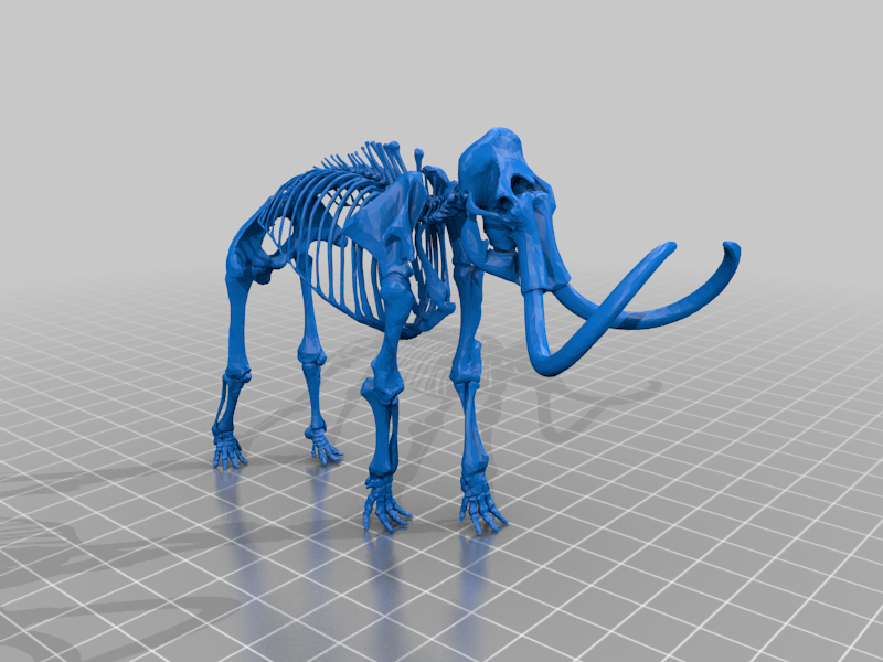 Woolly Mammoth Skeleton by item4me.com | Download free STL model ...
