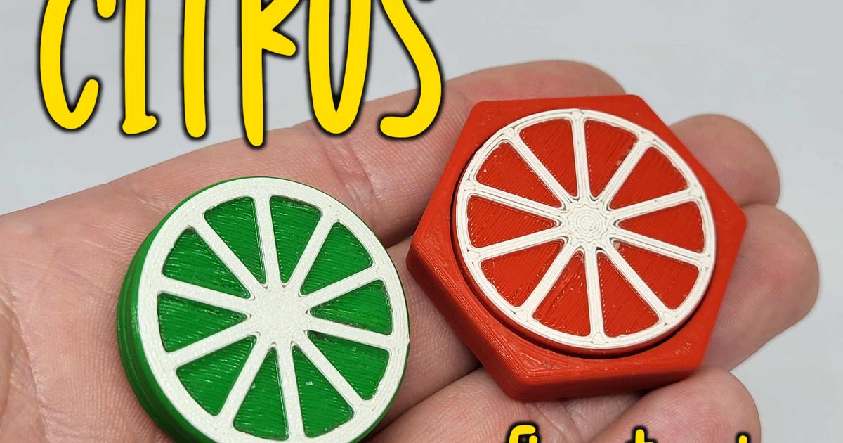Citrus - fidget coin collection by Ocelotzlasu | Download free STL ...