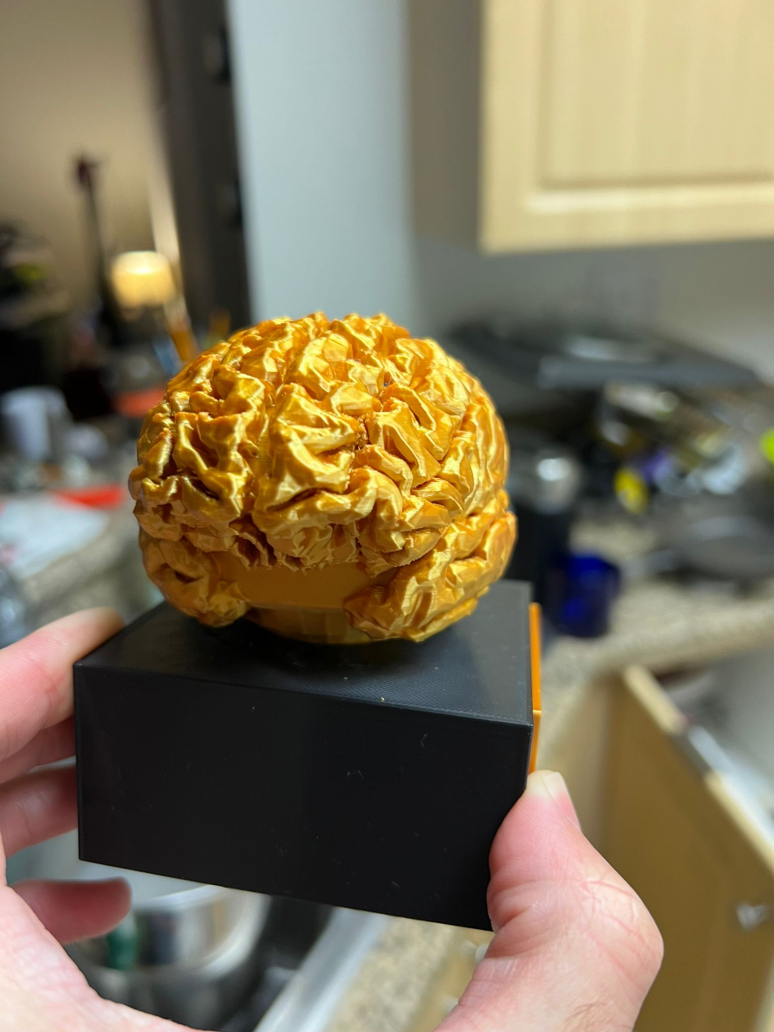 Brain Trophy by Ugo Nunes | Download free STL model | Printables.com