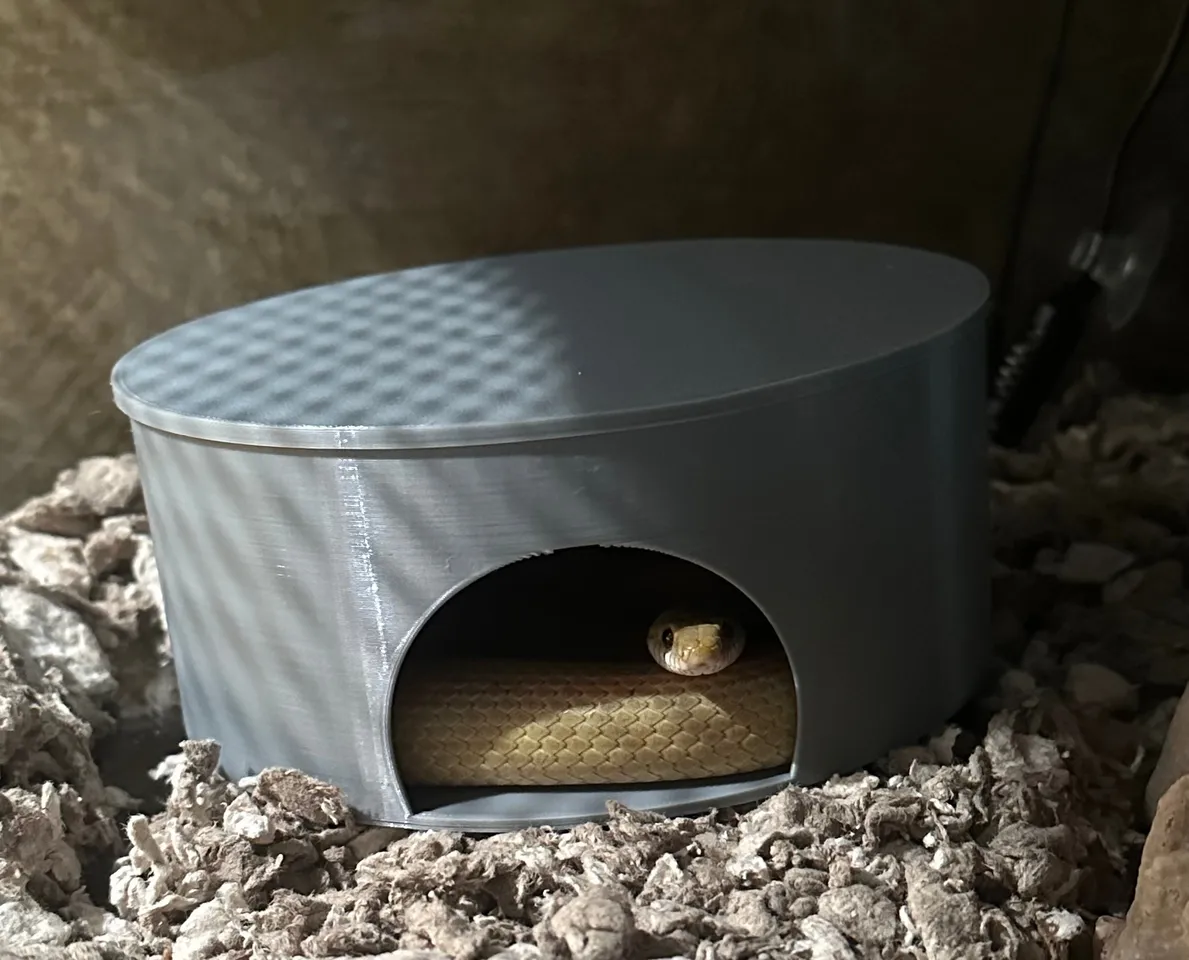 Snake Hide by cybernomad | Download free STL model | Printables.com