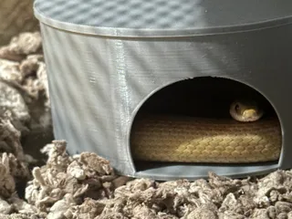 Snake Hide by cybernomad | Download free STL model | Printables.com