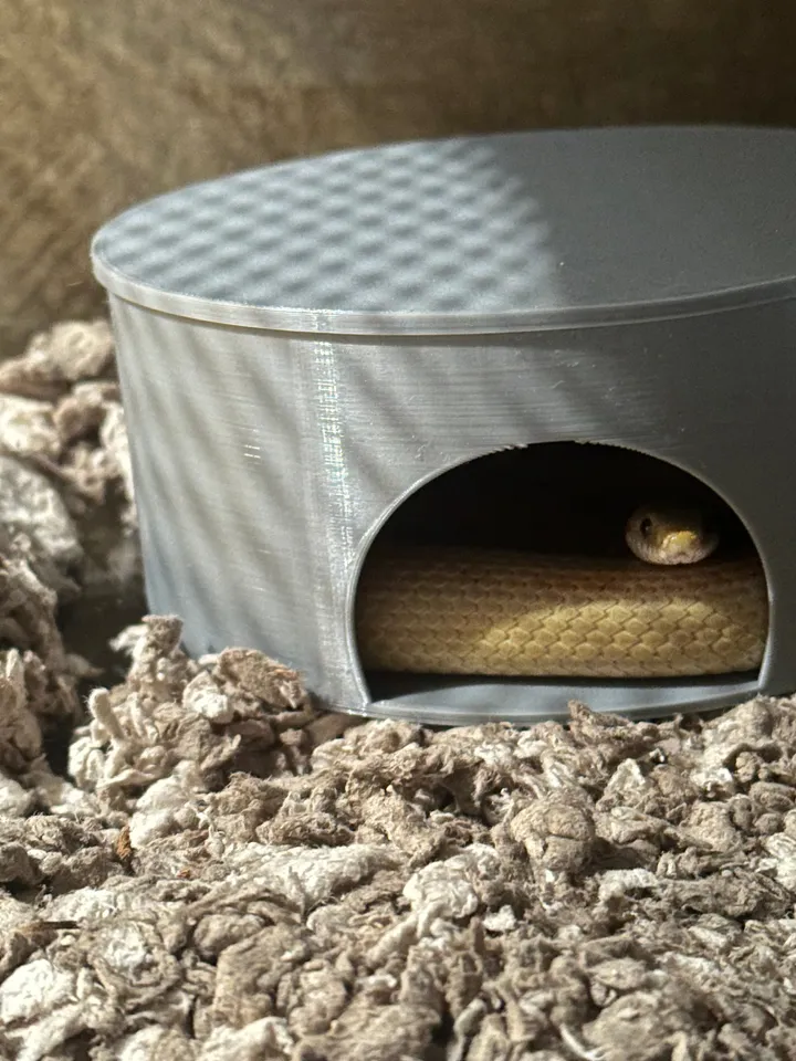 Snake Hide by cybernomad | Download free STL model | Printables.com