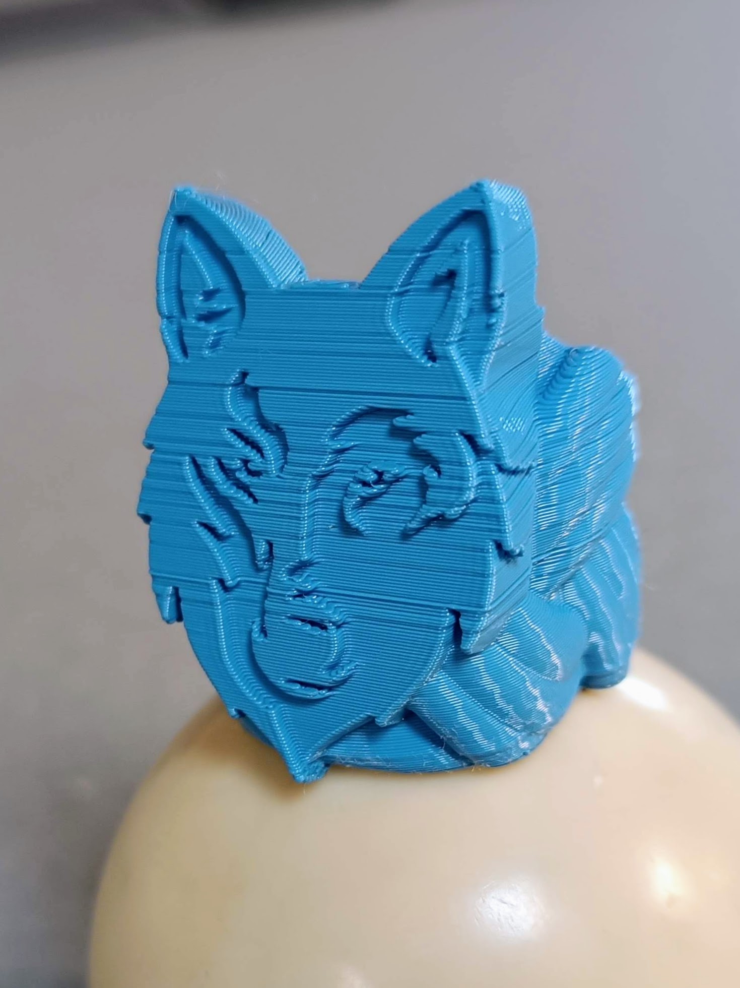 Raksha she wolf Scout and Guide Woggle by Baloo 3D | Download free STL ...