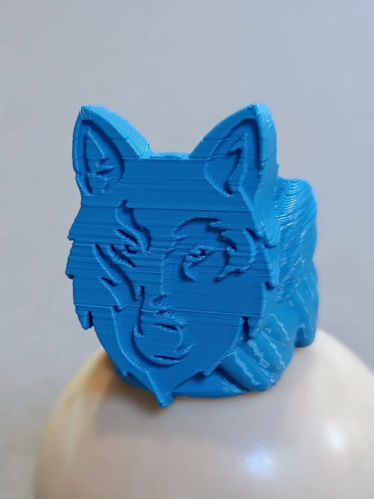 Raksha she wolf Scout and Guide Woggle by Baloo 3D | Download free STL ...