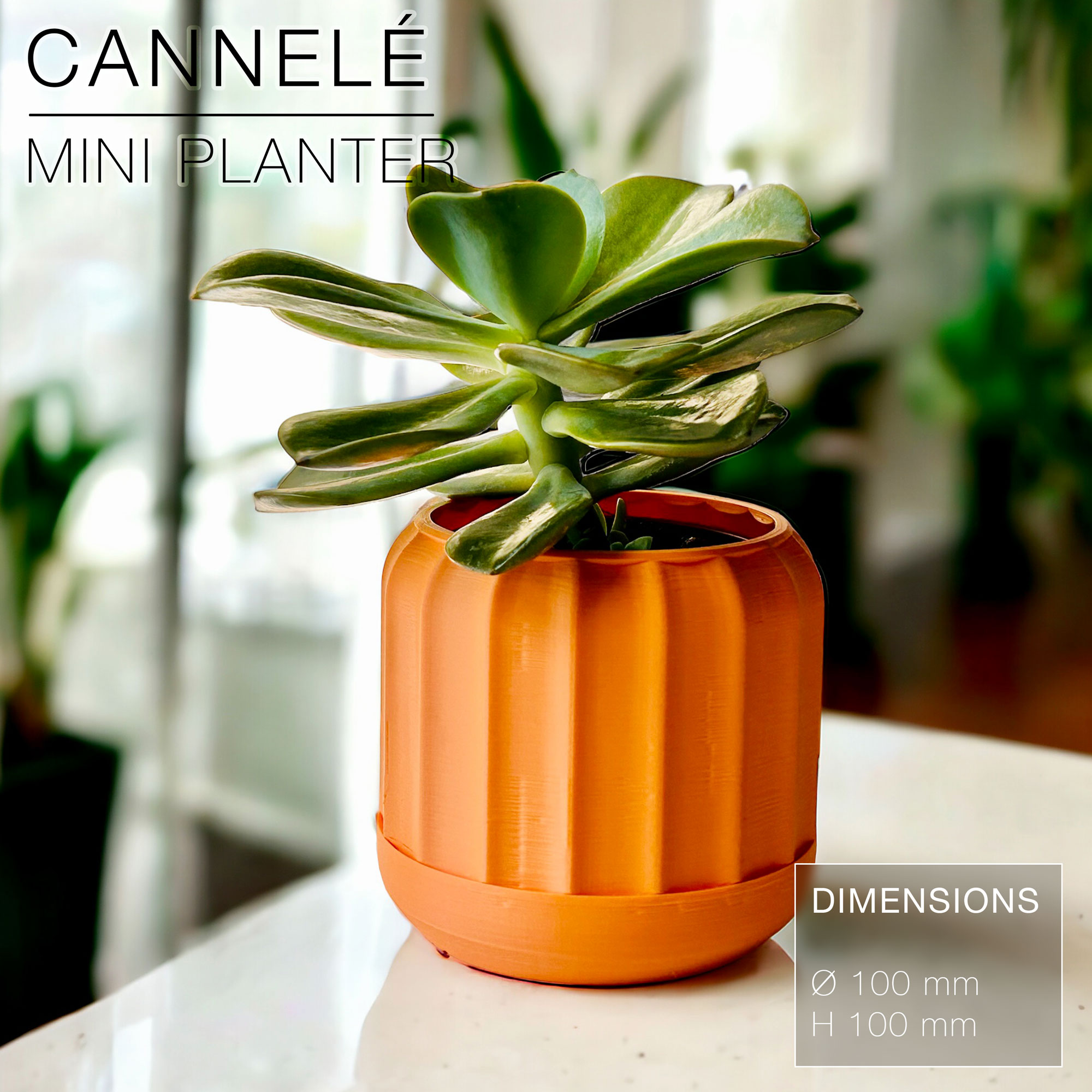 CANNELÉ | Fast-print mini Planter by Charles Regaud | Printables Store