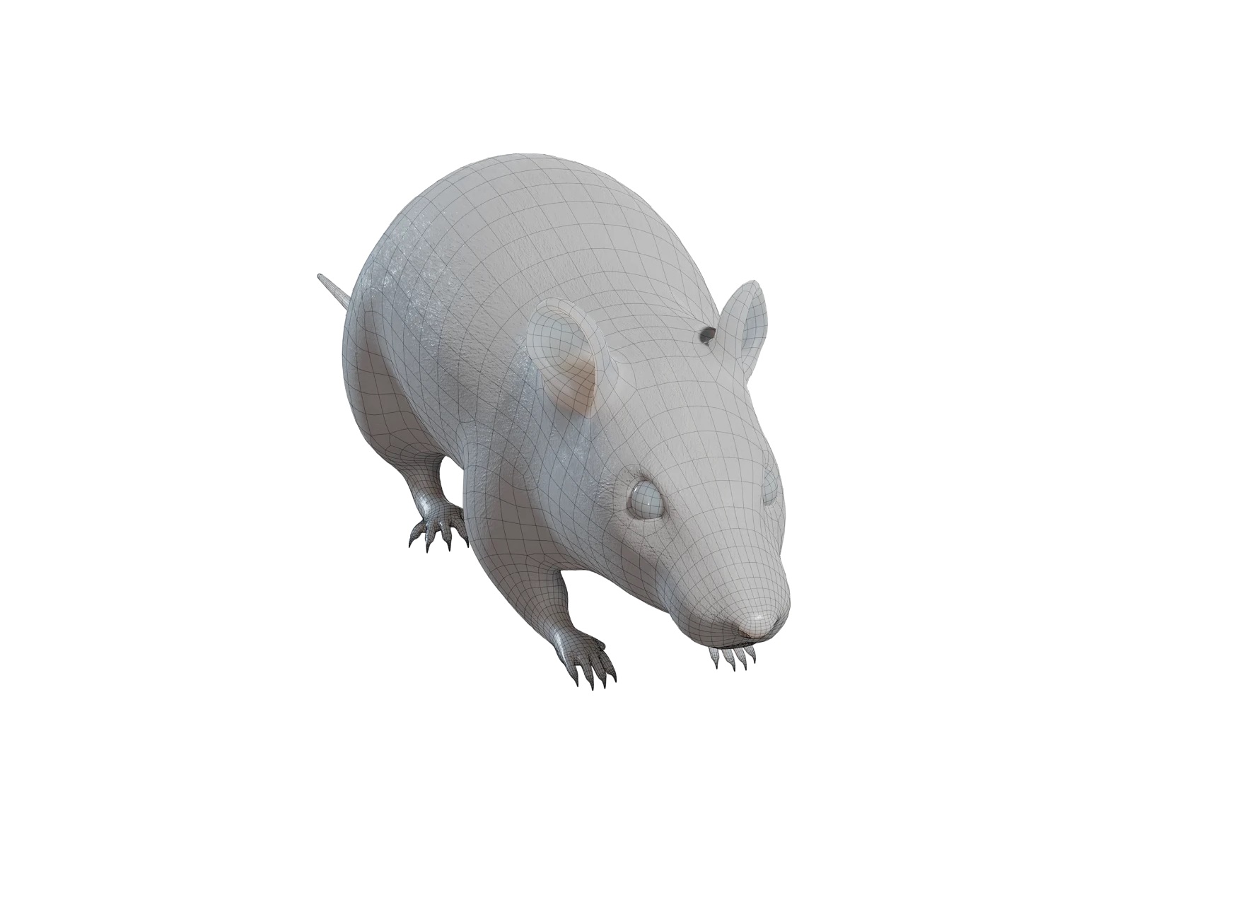Street rat by xchgre | Download free STL model | Printables.com