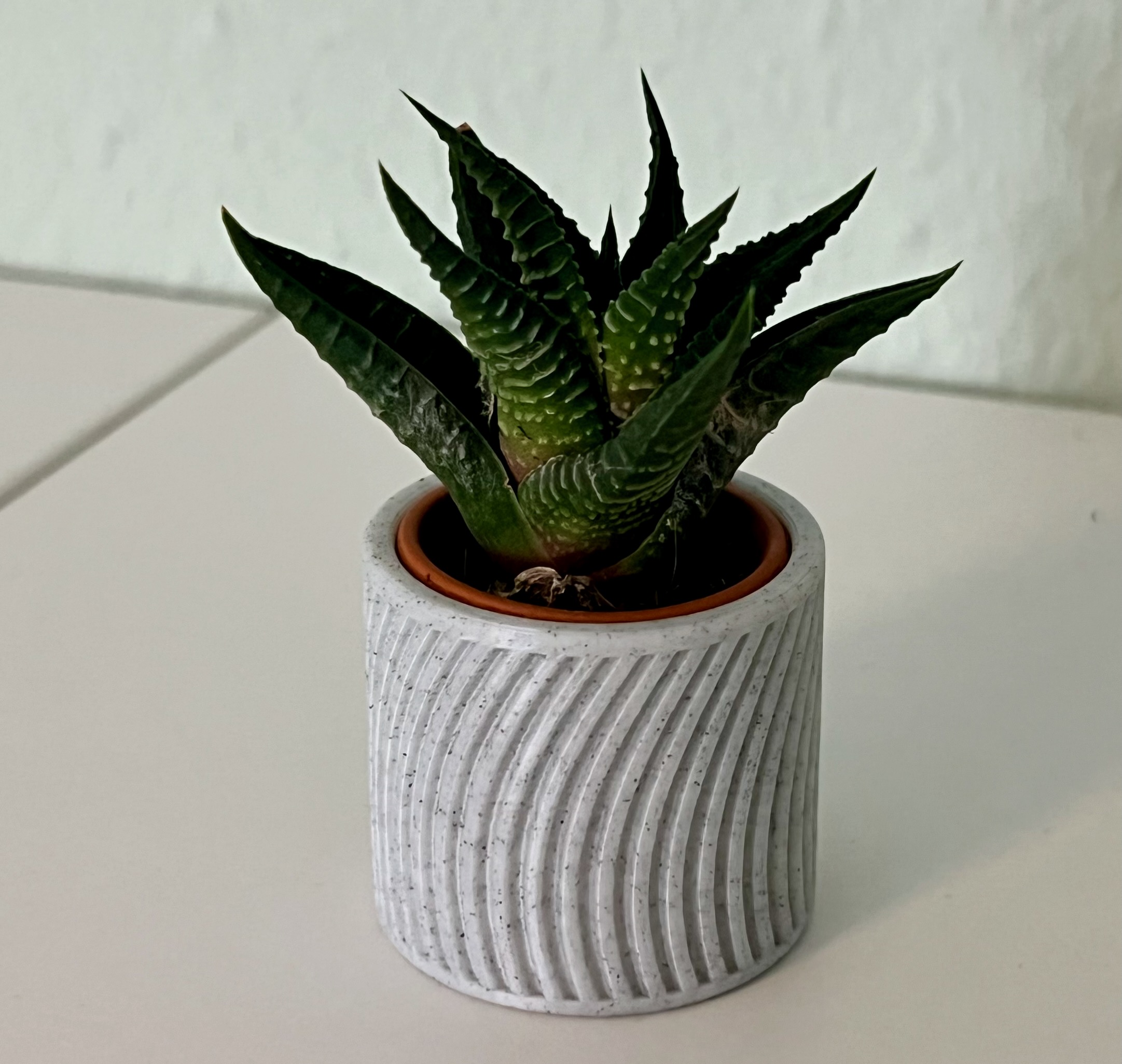 Small Planters 35mm by Hendrik | Download free STL model | Printables.com
