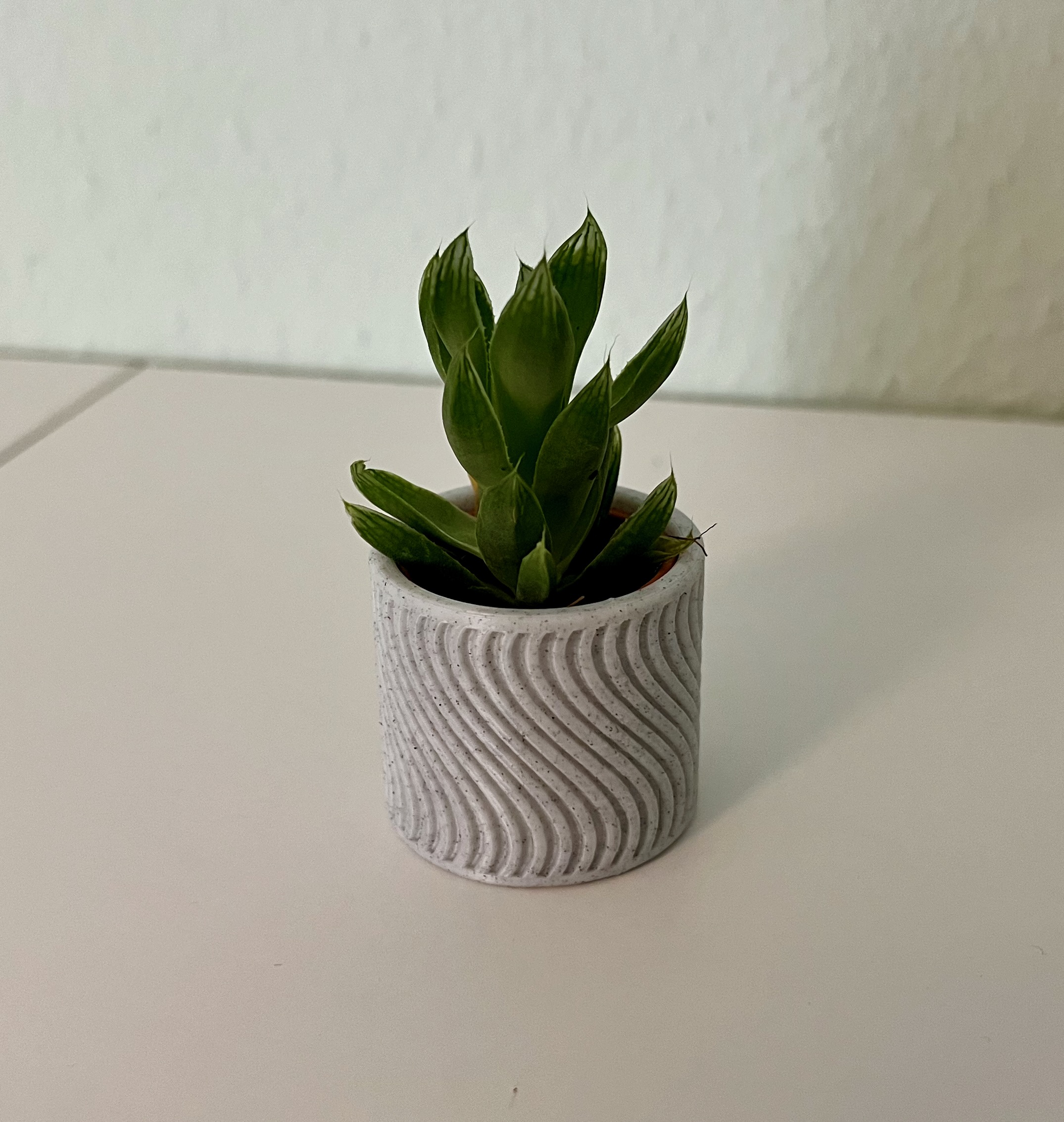 Small Planters 35mm by Hendrik | Download free STL model | Printables.com