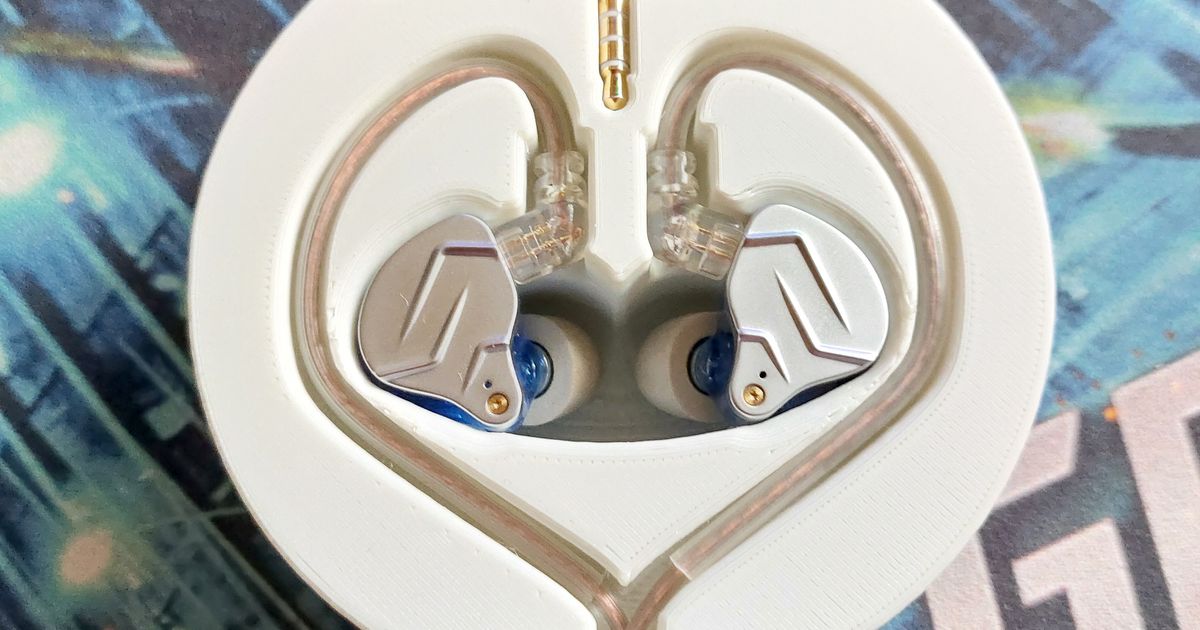 KZ ZSN Pro-adjacent headphone loom-holder-case-thing von Lolmarty ...