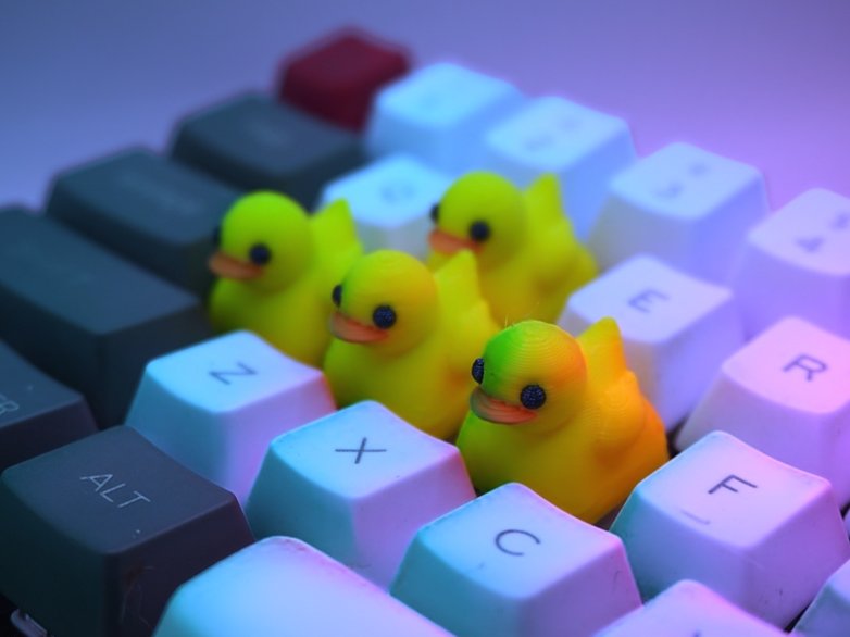 Duck Keycaps (Supporter Edition) by markury | Printables Store