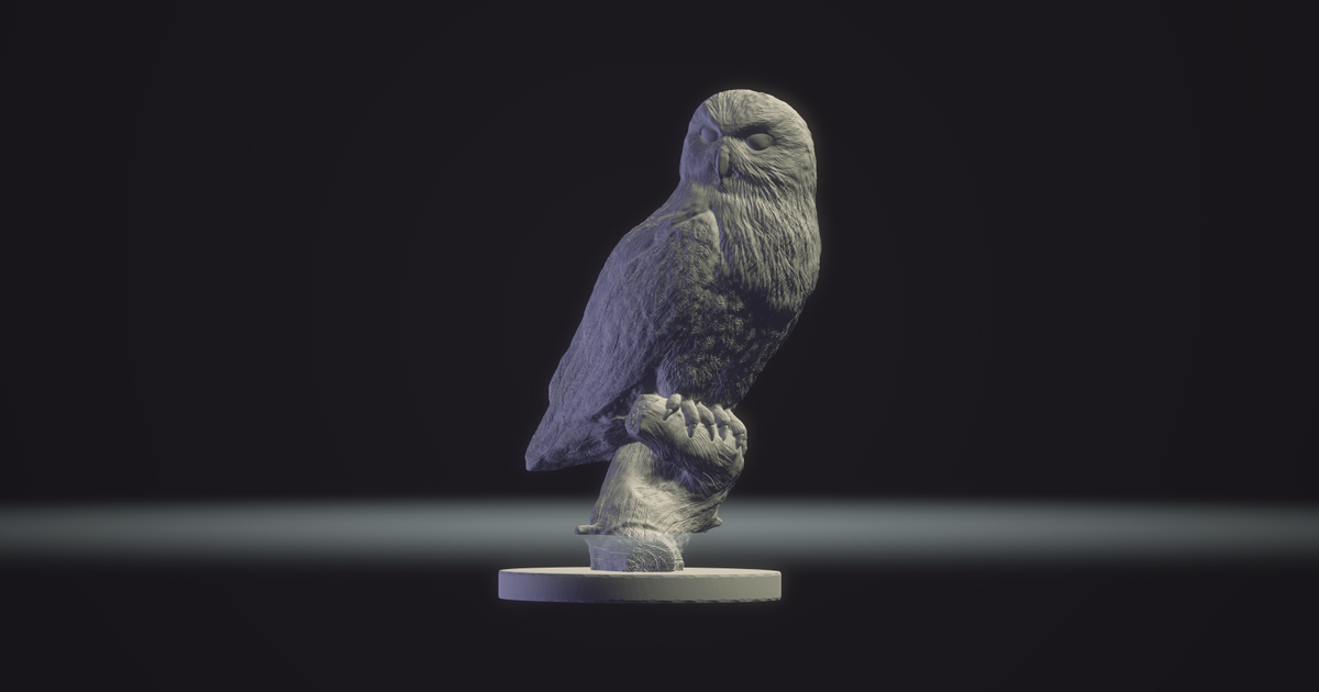 Snow Owl Standing by Finnegan Storm | Download free STL model ...