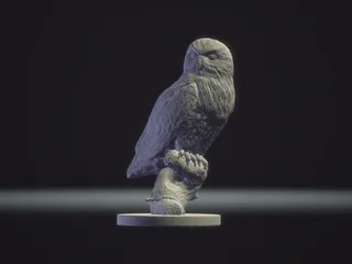 Snow Owl Standing by Finnegan Storm | Download free STL model ...