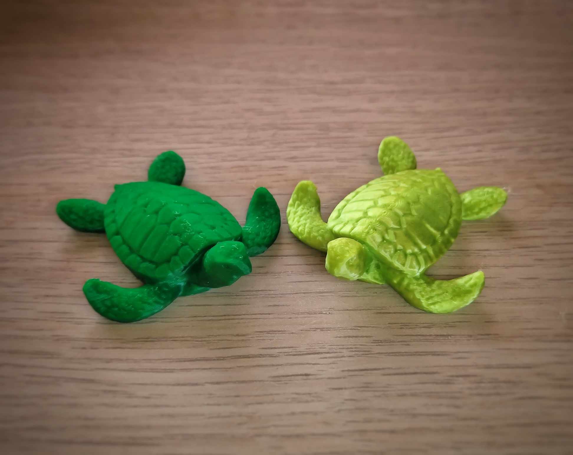 Sea Turtle by ncsandor | Download free STL model | Printables.com