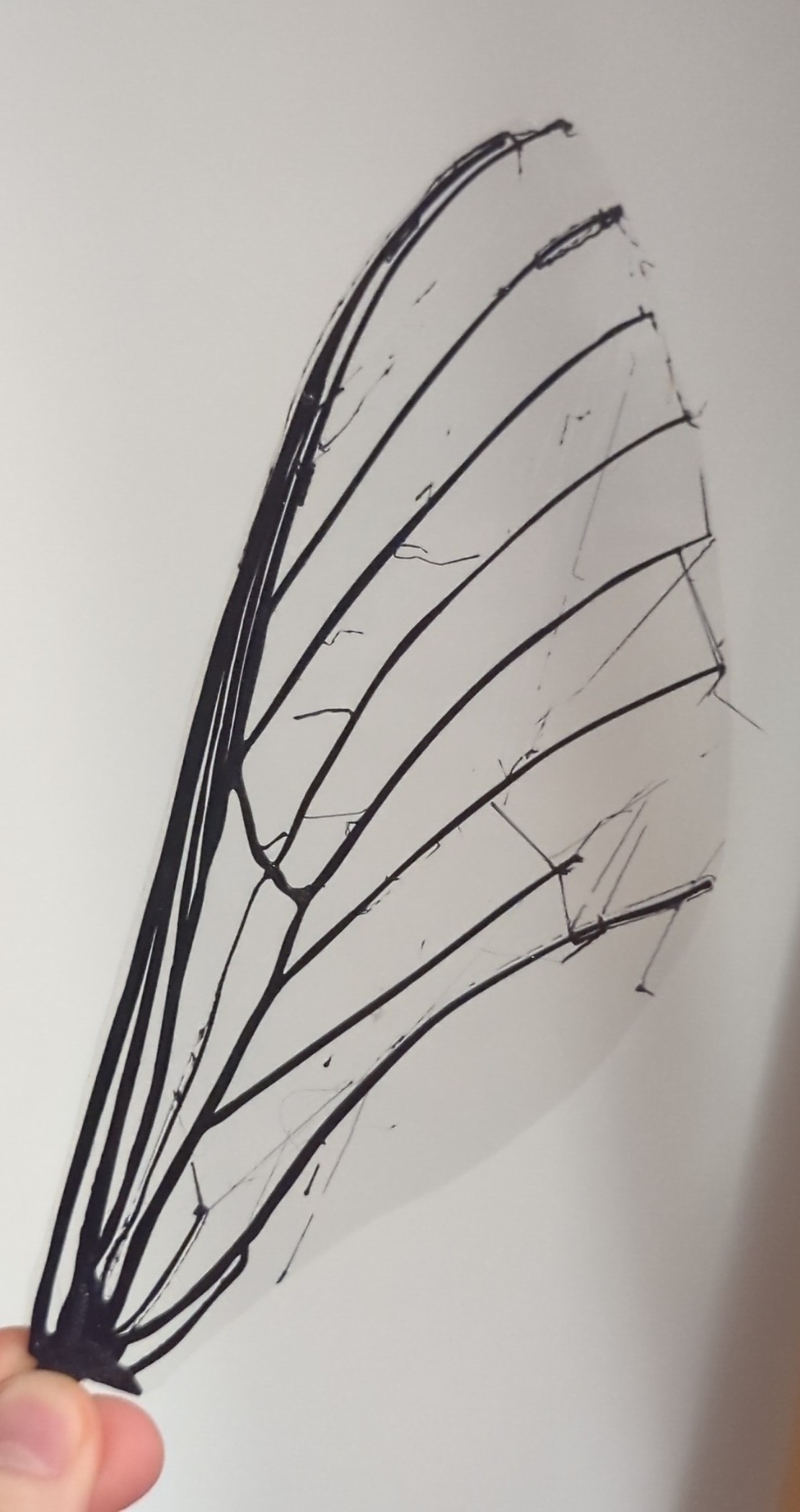 Bionic Hawkmoth Wing for MAVs by Morty_Fire | Download free STL model ...