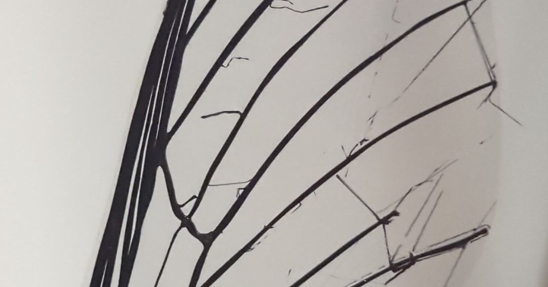 Bionic Hawkmoth Wing for MAVs by Morty_Fire | Download free STL model ...