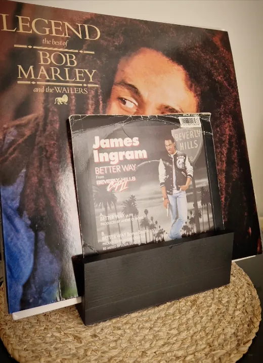Vinyl Record Holder by Vader | Download free STL model | Printables.com