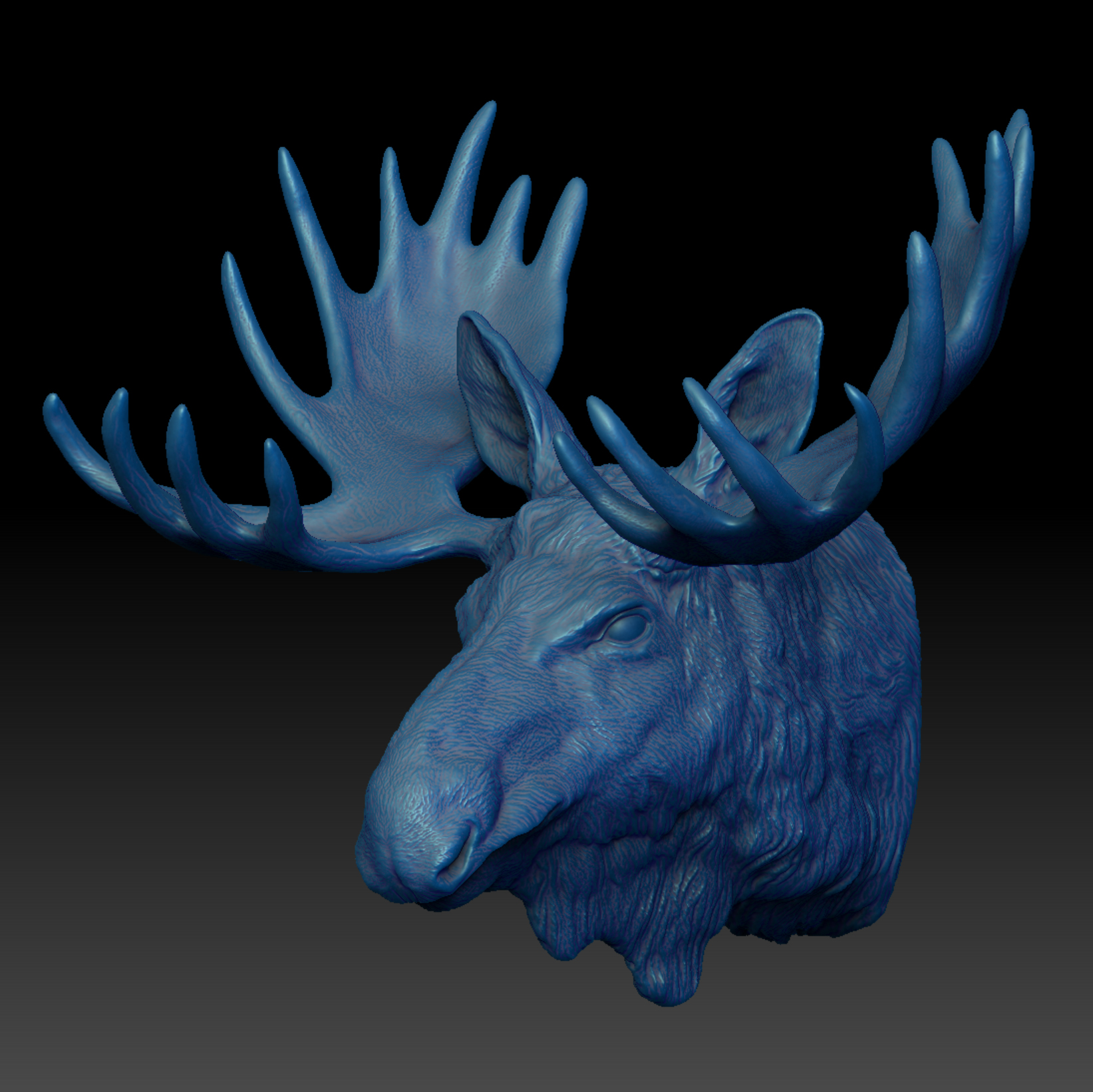 Moose Bull - Portrait 3D Print-Model by Qu3D 3D-Design Art | Printables ...