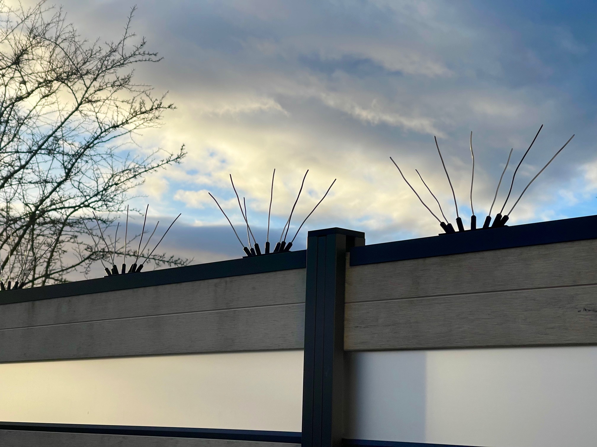 Bird spikes holder by vmLOGIC | Download free STL model | Printables.com