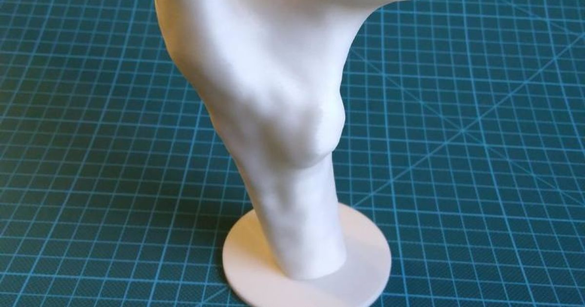 Femur Bone with Stand by DHP | Download free STL model | Printables.com