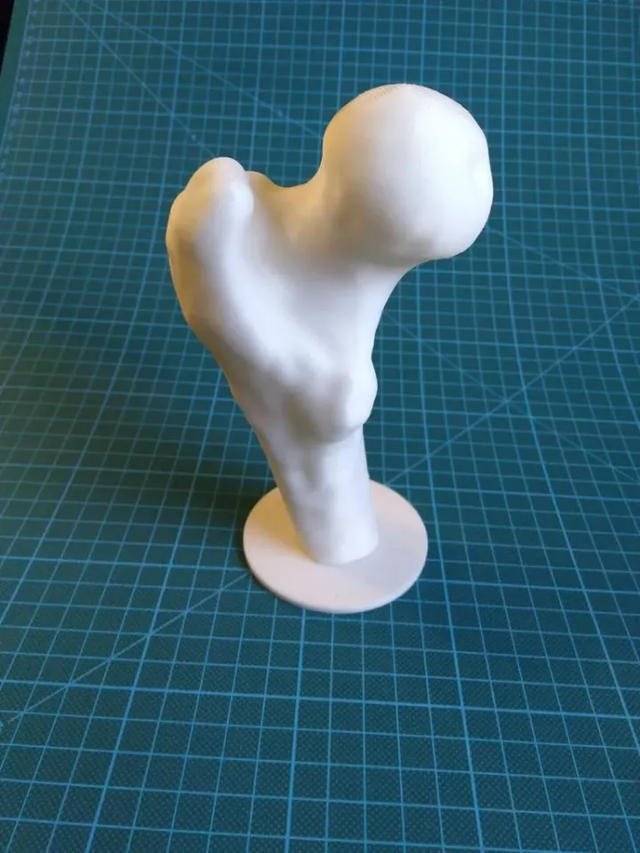 Femur Bone with Stand by DHP | Download free STL model | Printables.com