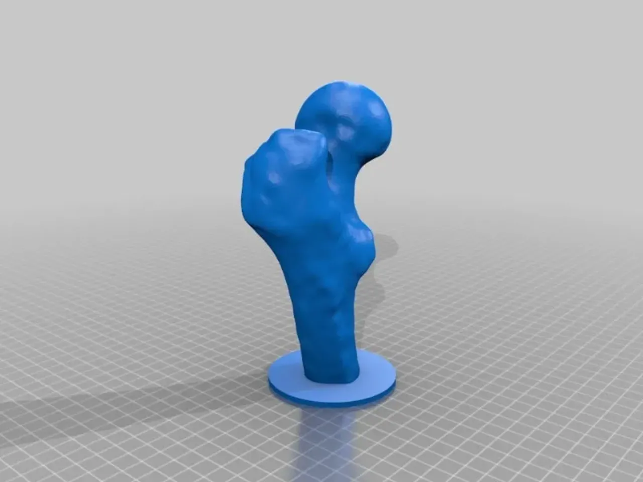 Femur Bone with Stand by DHP | Download free STL model | Printables.com