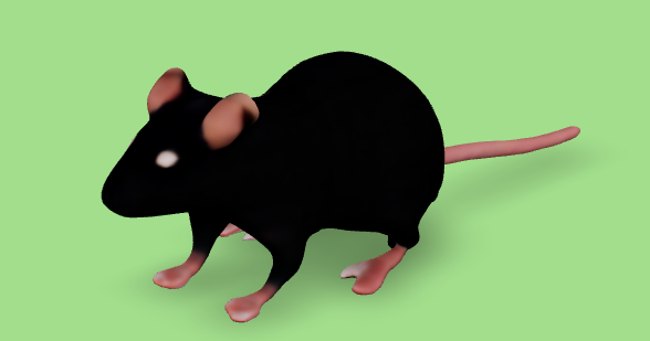 rough rat model par Samtheman | Téléchargez gratuitement un modèle STL ...
