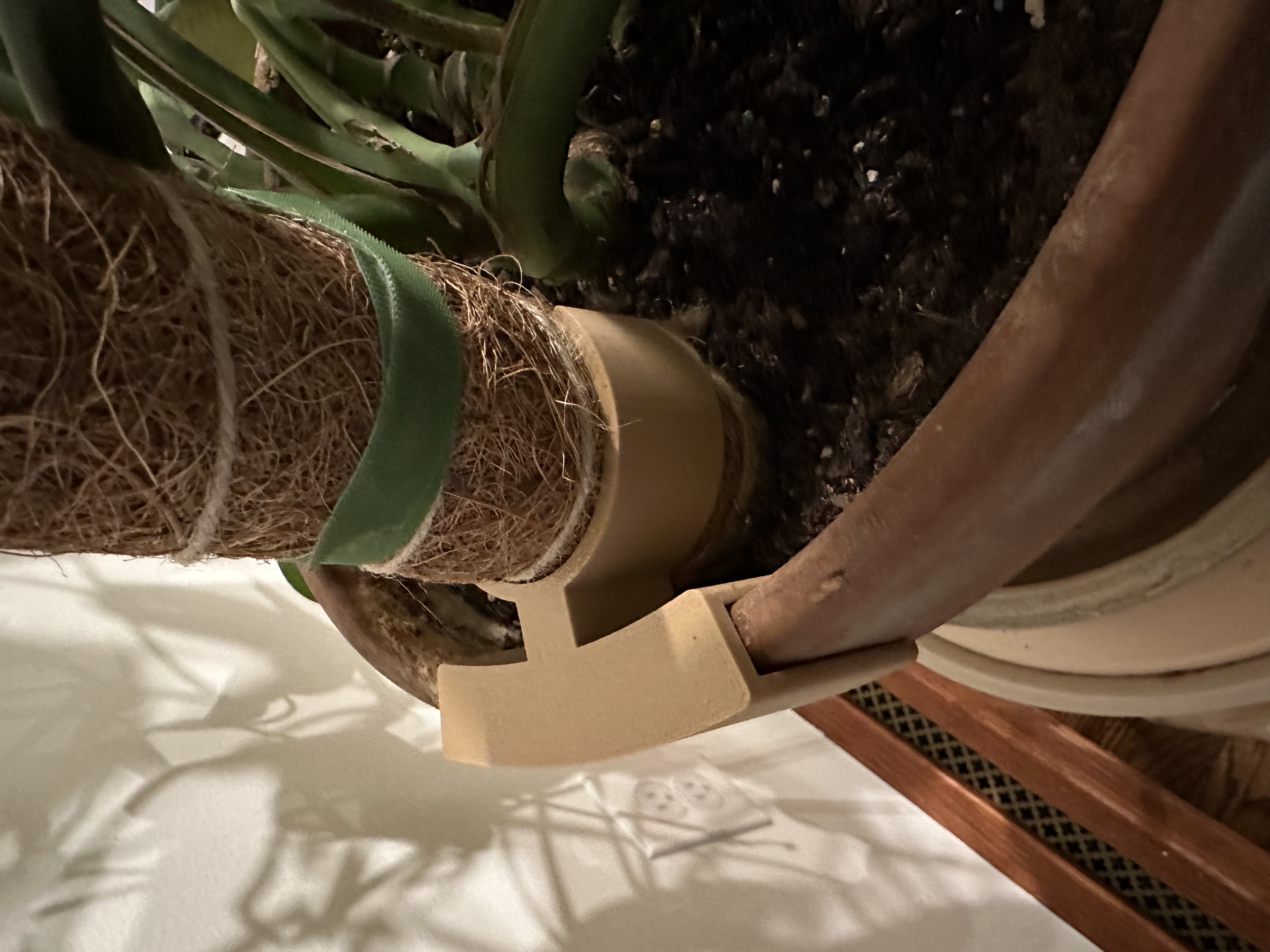Moss Pole Support for Monstera Plant Pots by Joe | Download free STL ...