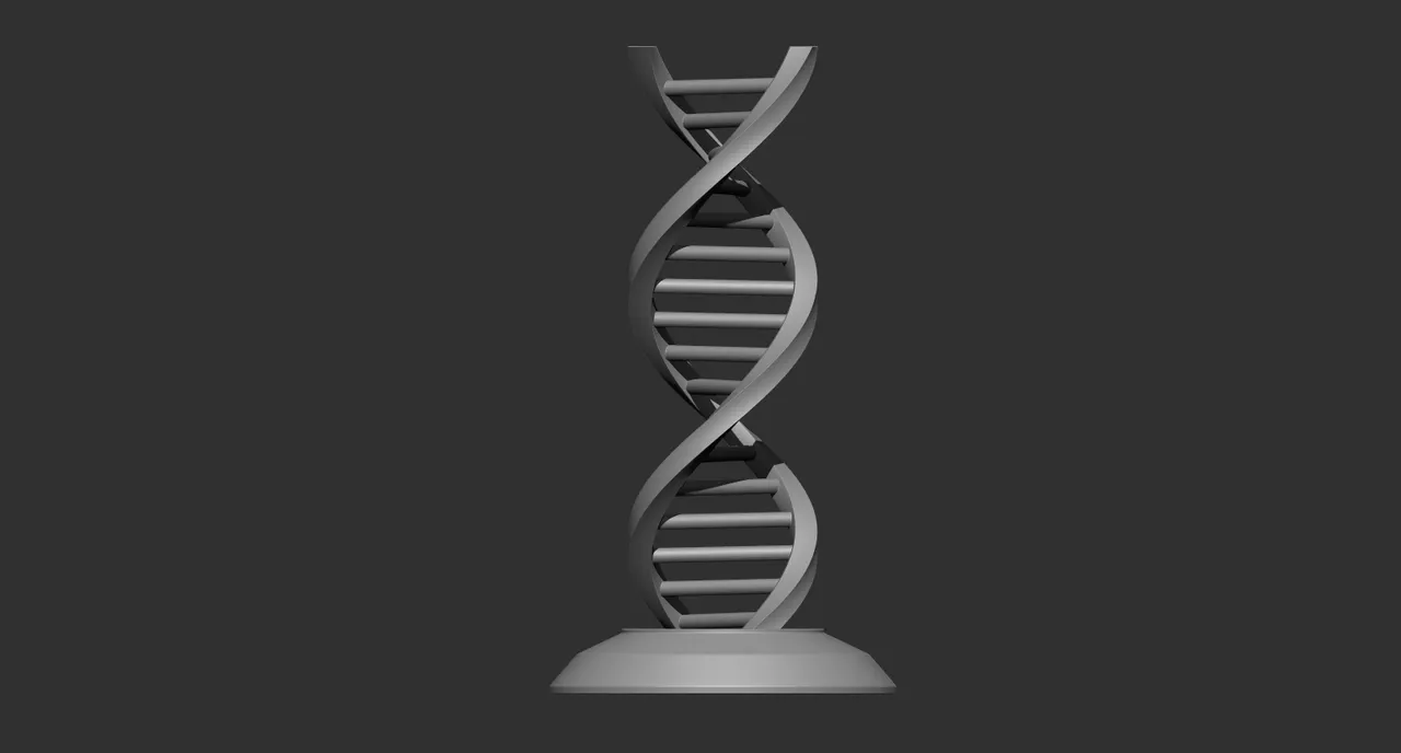 dna by Well_ Whale | Download free STL model | Printables.com