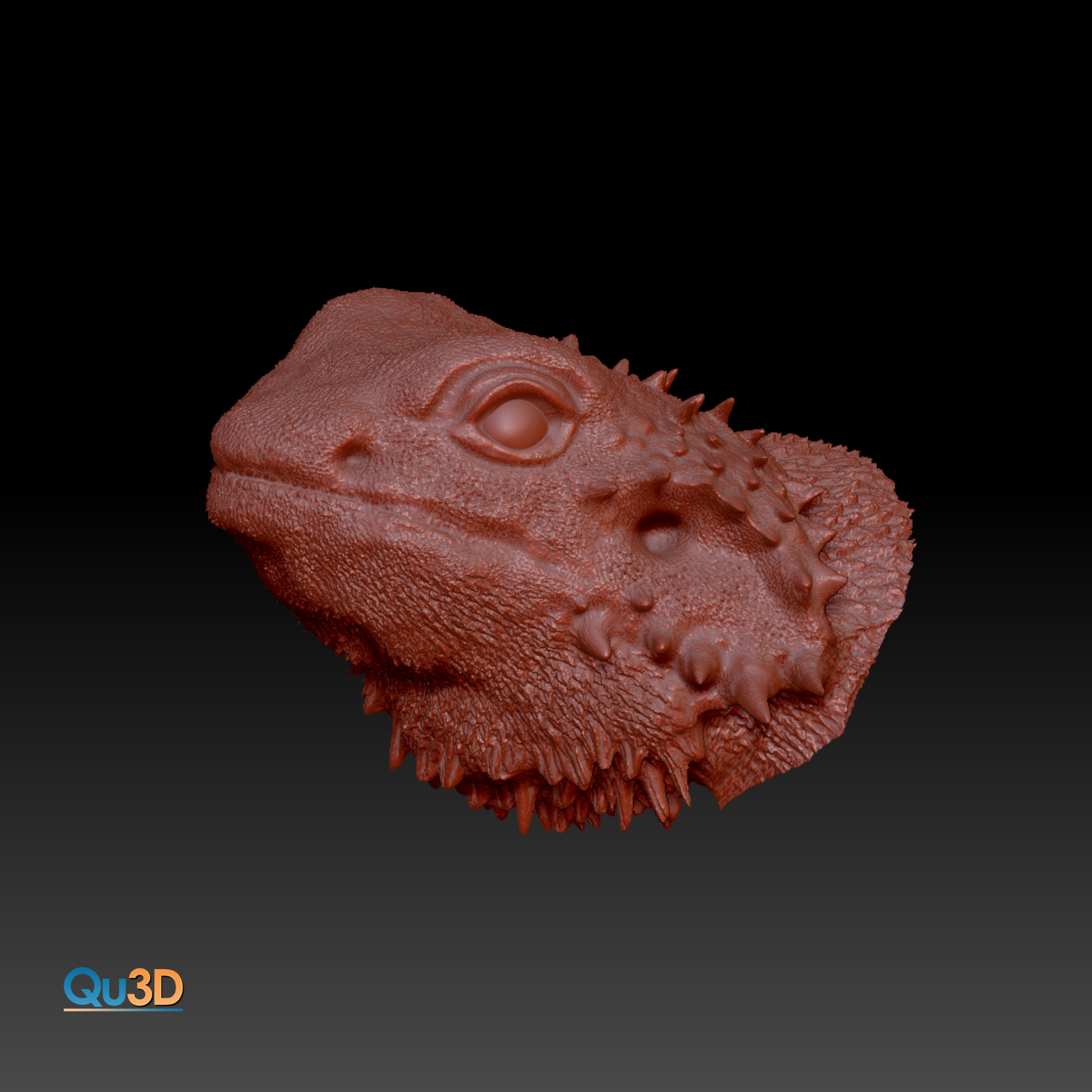 Bearded Dragon Portrait by Qu3D 3D-Design Art | Printables Store