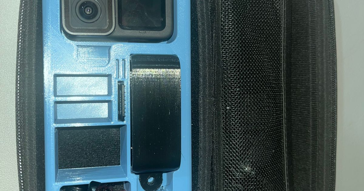 GoPro CASE organizer 9,10,11,12, vertical mount, sd adapter, 2 micro sd ...