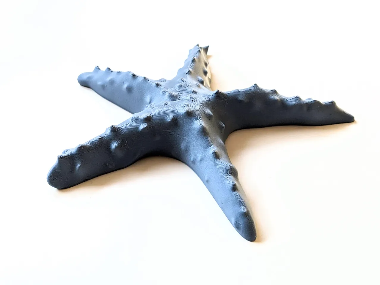 starfish by pachek | Download free STL model | Printables.com