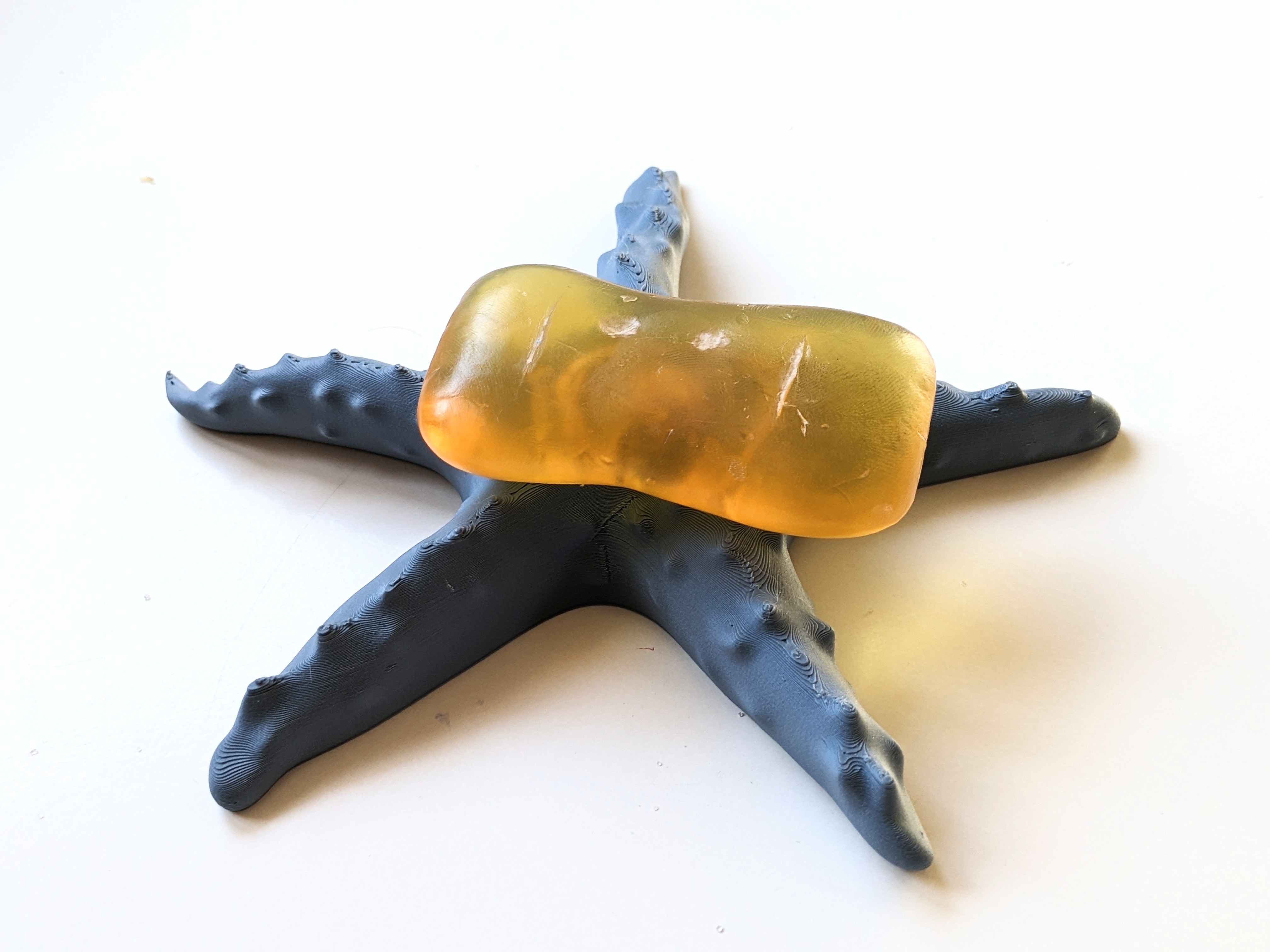 starfish by pachek | Download free STL model | Printables.com