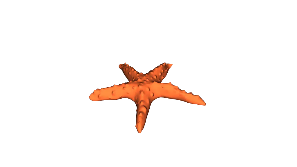 starfish by pachek | Download free STL model | Printables.com