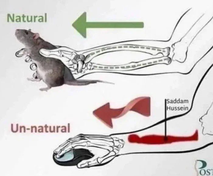Saddam Hussein Hiding Silhouette by jor2468 | Download free STL model ...