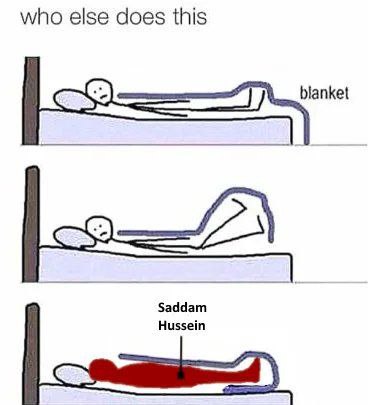 Saddam Hussein Hiding Silhouette by jor2468 | Download free STL model ...