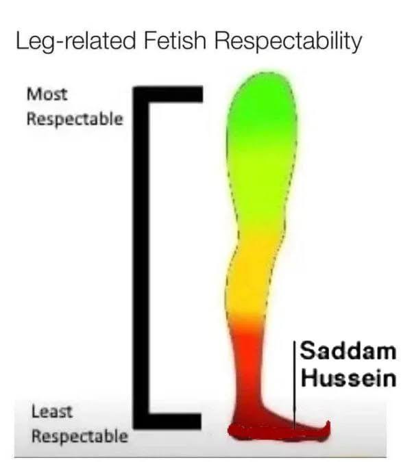 Saddam Hussein Hiding Silhouette by jor2468 | Download free STL model ...