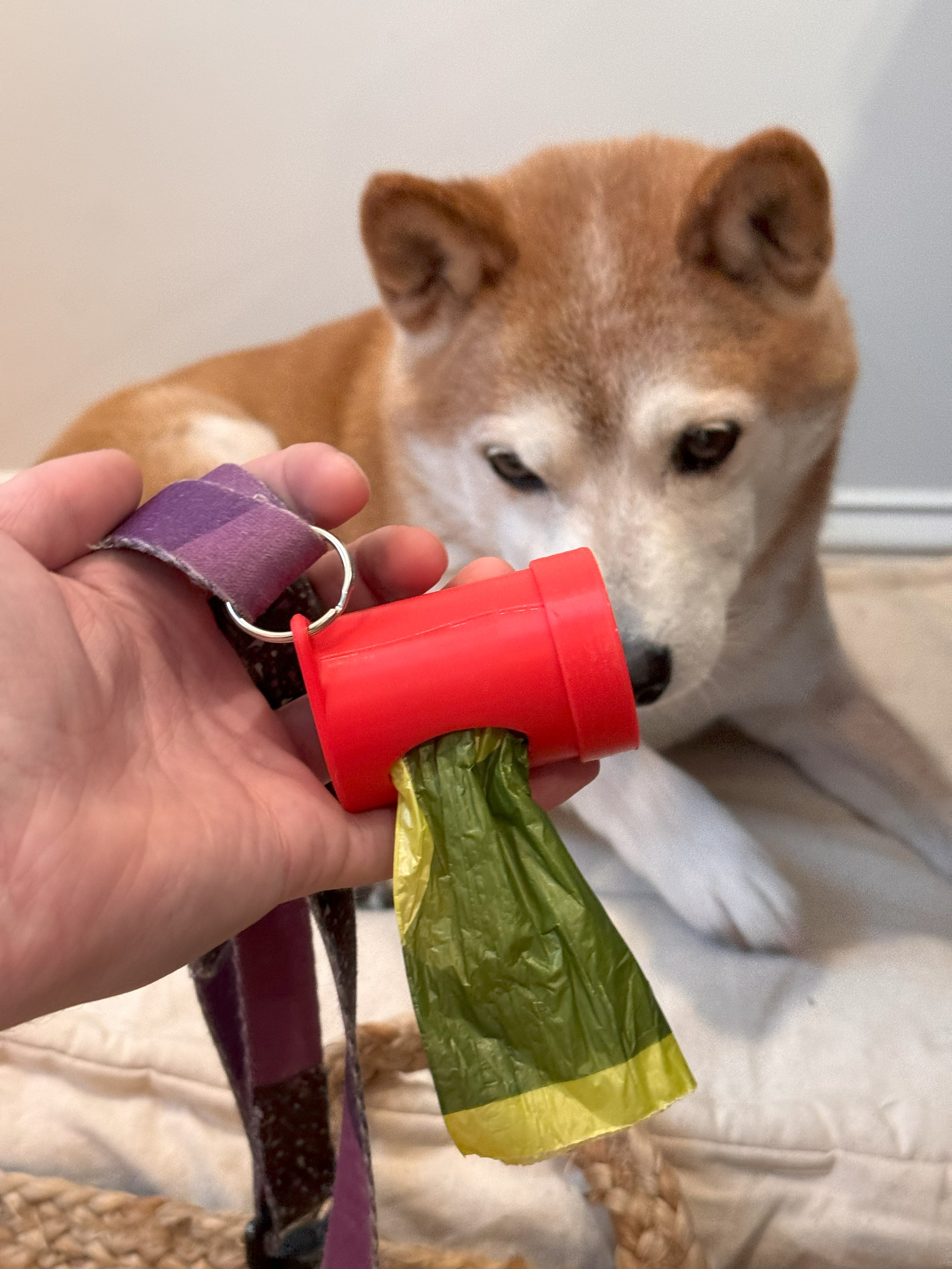 Screw-top Dog Poop Bag Roll Holder by ShameBoy Advance | Download free ...