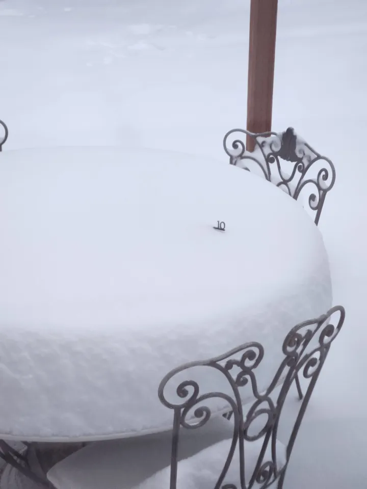 Snow Stake by AaronAZ623 | Download free STL model | Printables.com