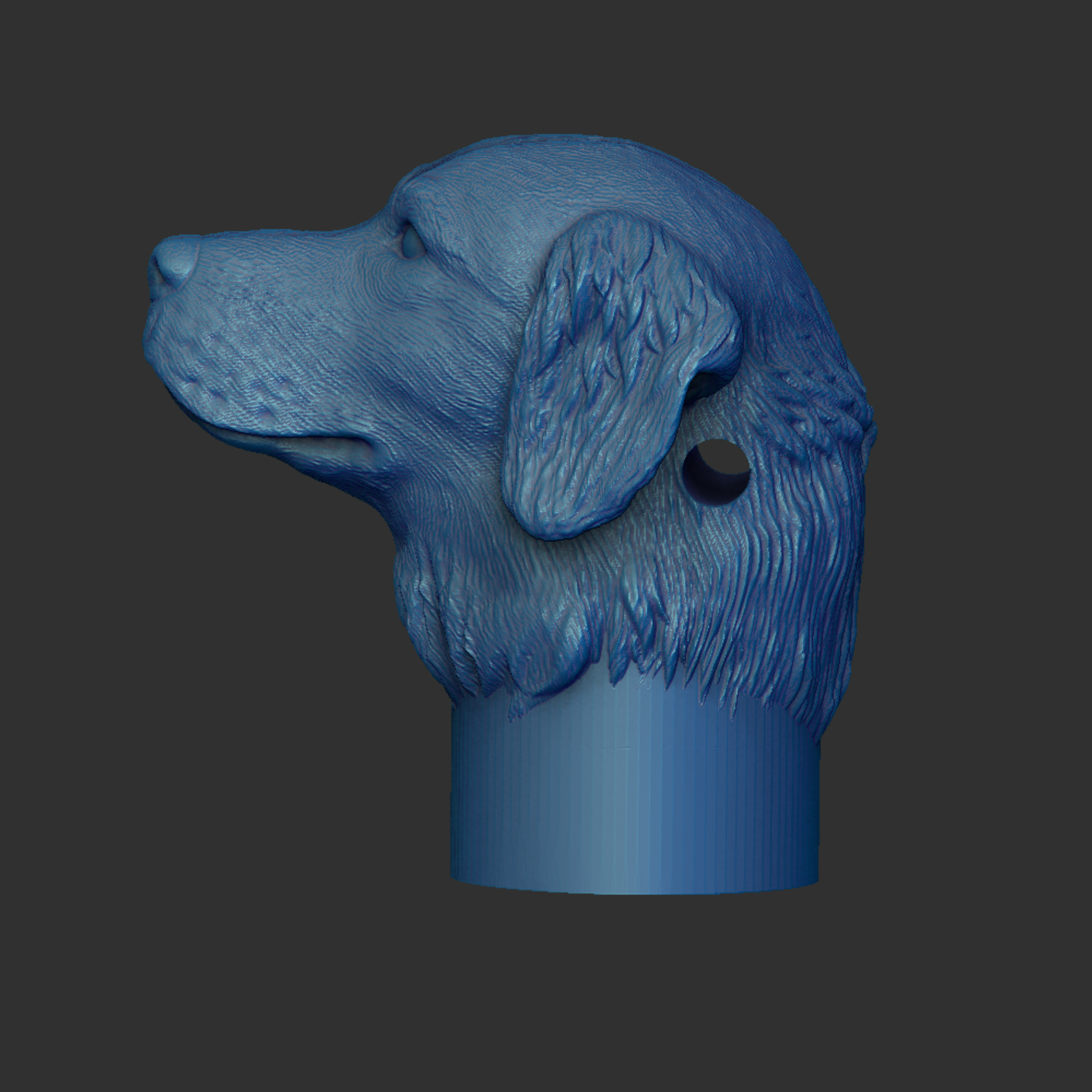 Dog Whistle - Head Design - Golden Retriever by Qu3D 3D-Design Art ...