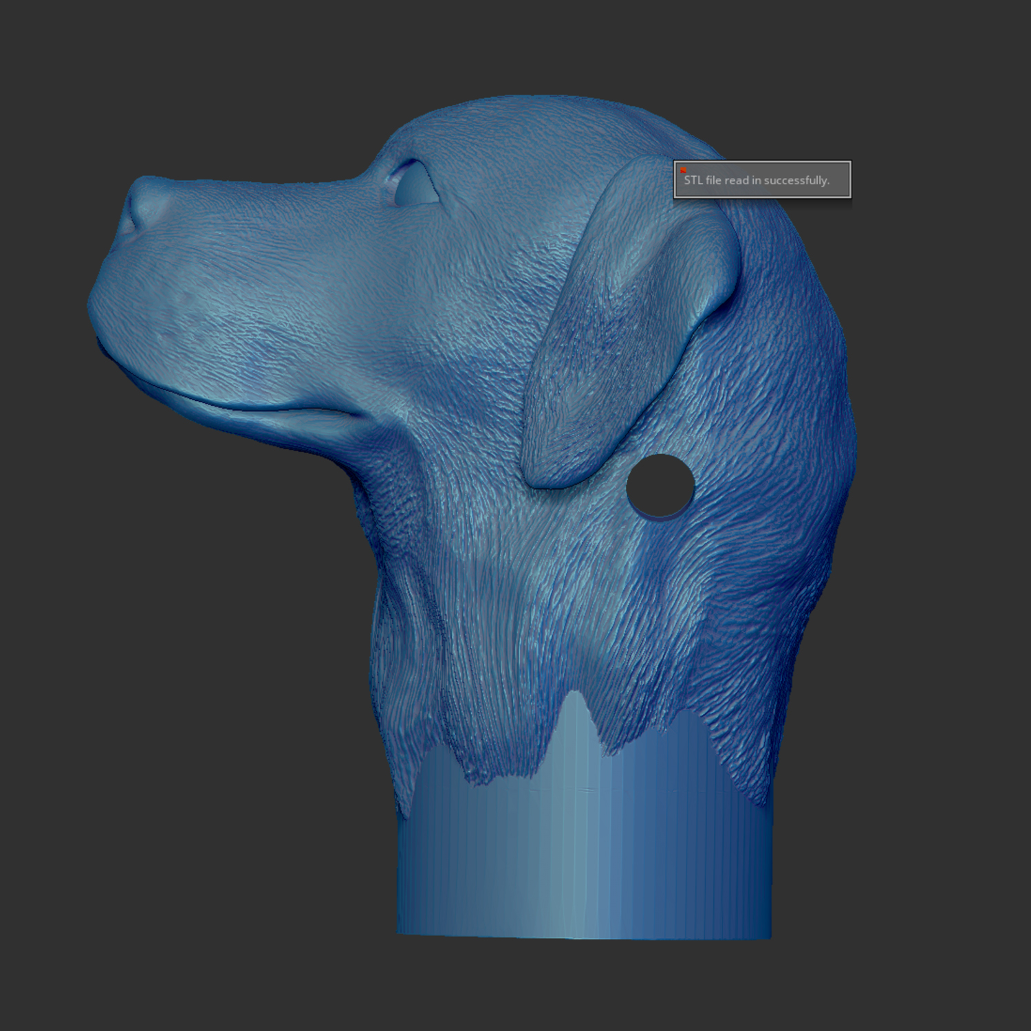 Dog Whistle - Head Design - Labrador by Qu3D 3D-Design Art | Printables ...