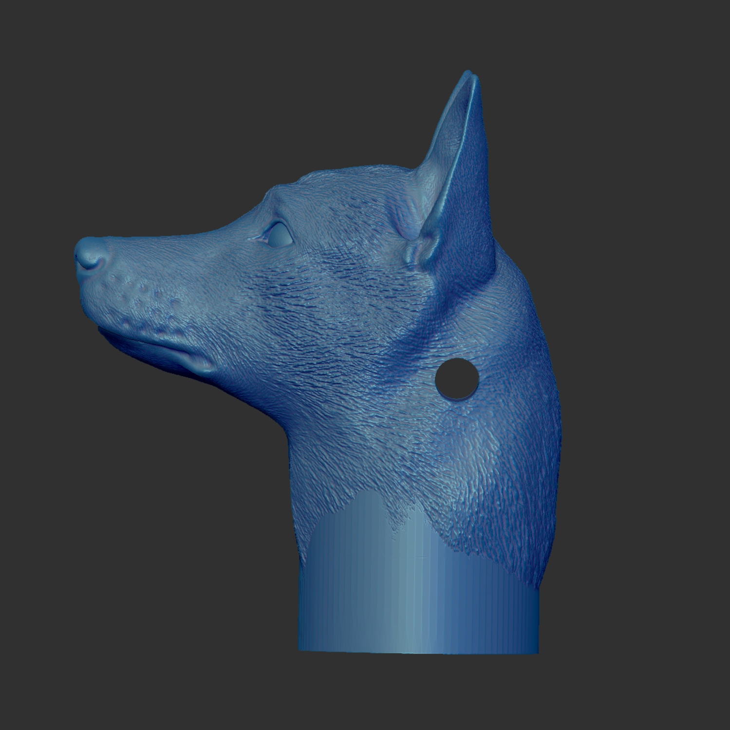 Dog Whistle - Head Design - Malinois by Qu3D 3D-Design Art | Printables ...