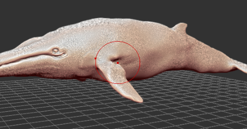 Waharoa by Pan Wołodyjowski | Download free STL model | Printables.com