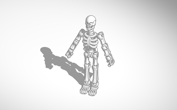 skeleton by purplefishy | Download free STL model | Printables.com