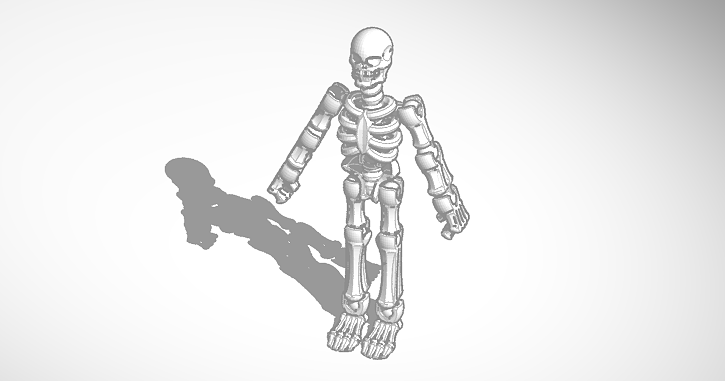 skeleton by purplefishy | Download free STL model | Printables.com