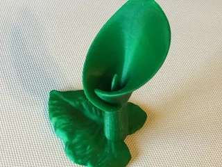Calla Lily by sylviatrilling | Download free STL model | Printables.com