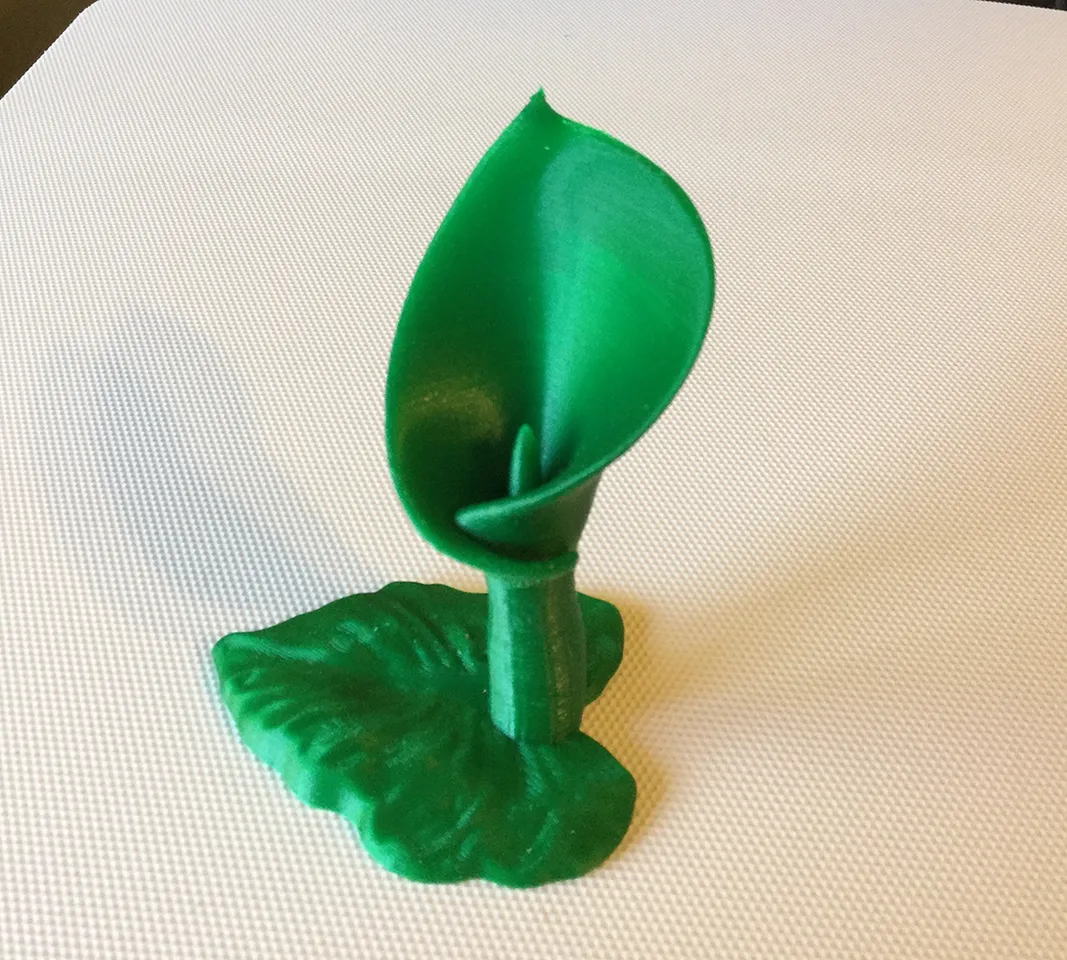 Calla Lily by sylviatrilling | Download free STL model | Printables.com