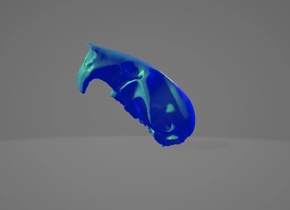 Mouse Skull by StewBrewer | Download free STL model | Printables.com